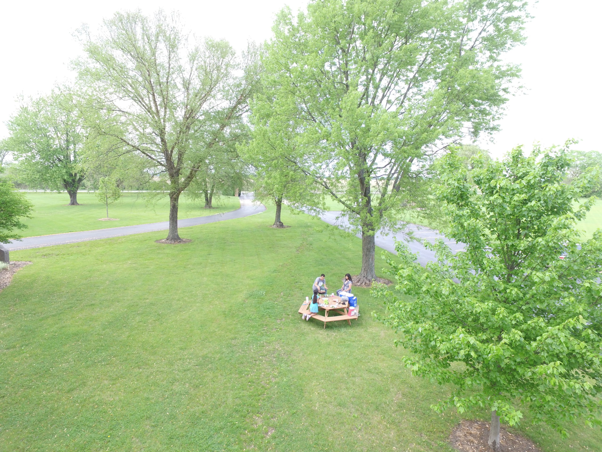 Club Resources – Union Lions Club of Northern Illinois USA